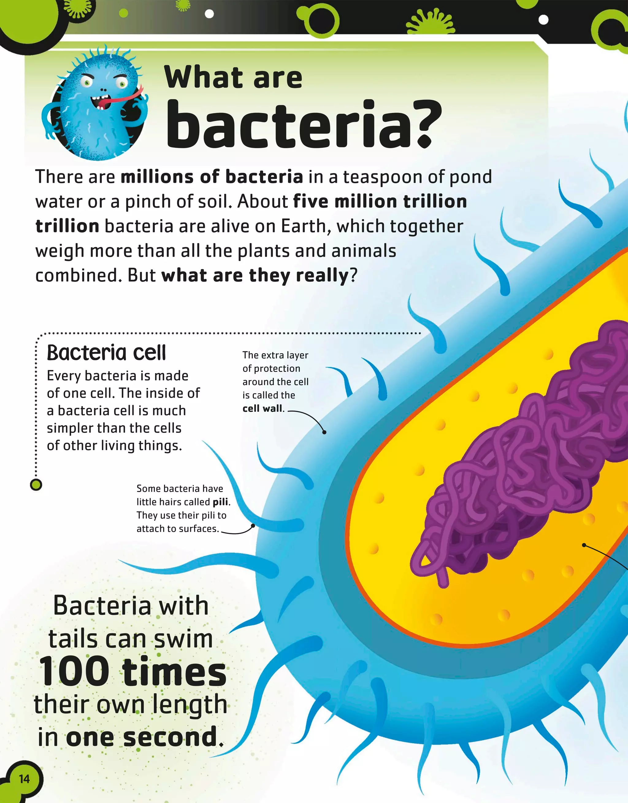 The Bacteria Book The Big World of Really Tiny Microbes.pdf