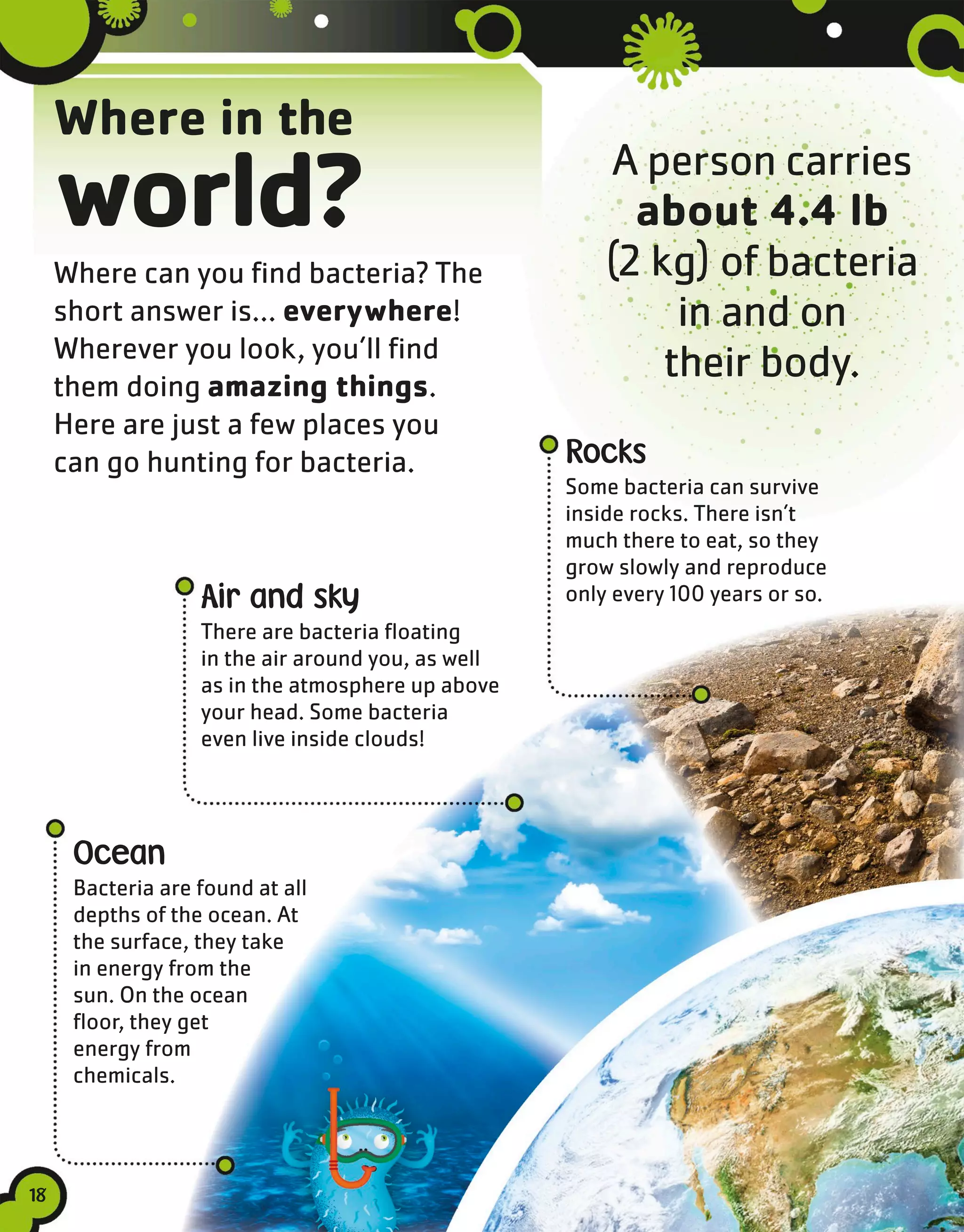 The Bacteria Book The Big World of Really Tiny Microbes.pdf
