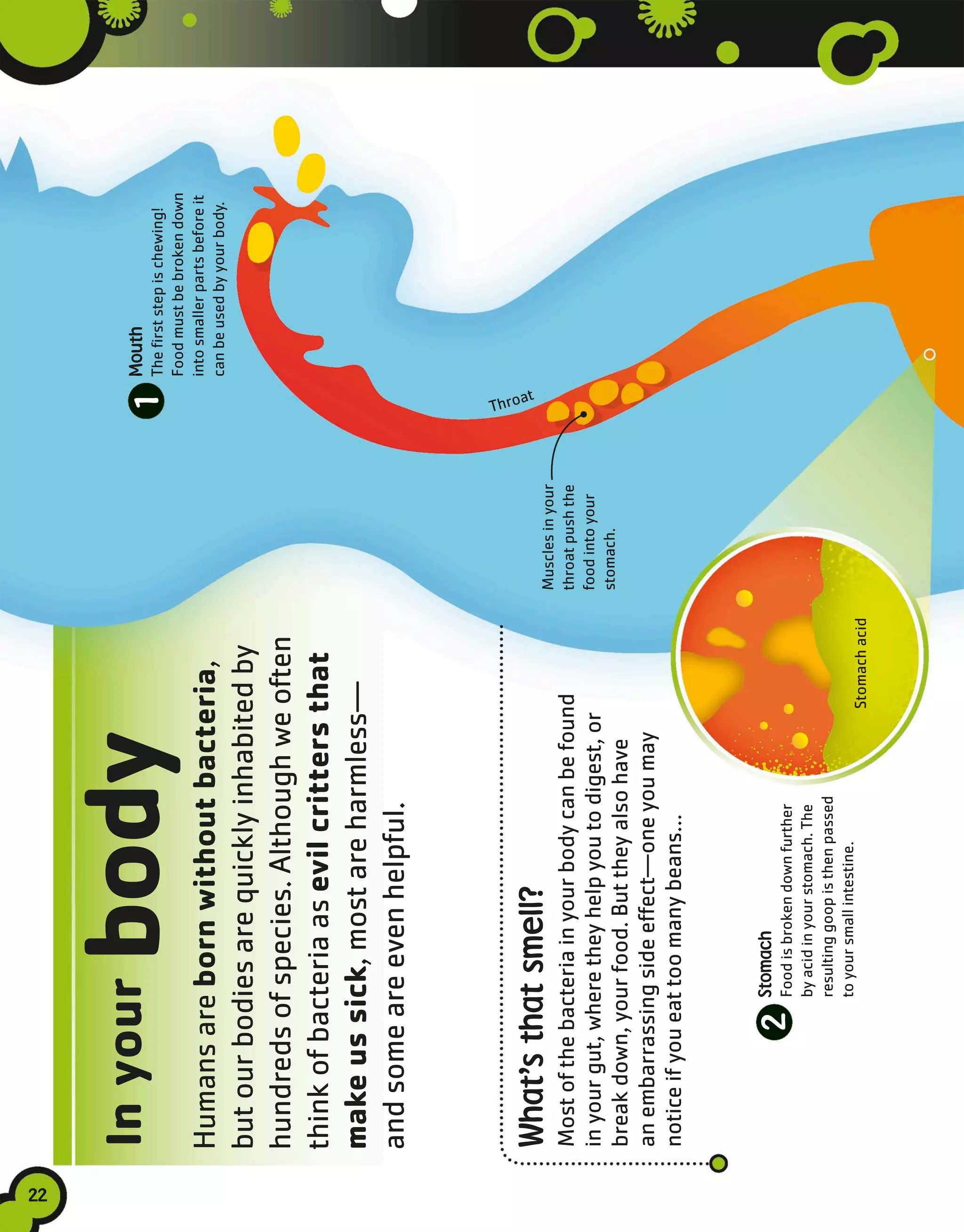 The Bacteria Book The Big World of Really Tiny Microbes.pdf