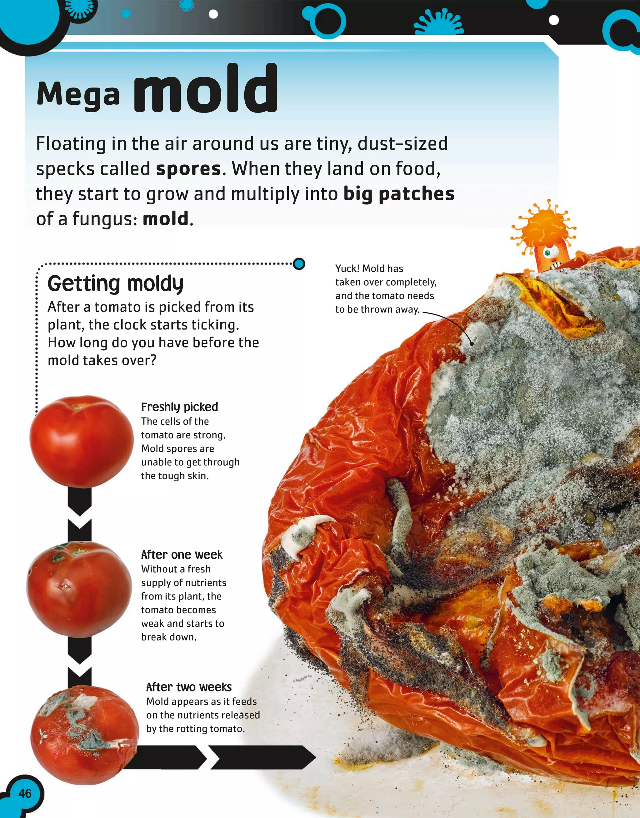 The Bacteria Book The Big World of Really Tiny Microbes.pdf