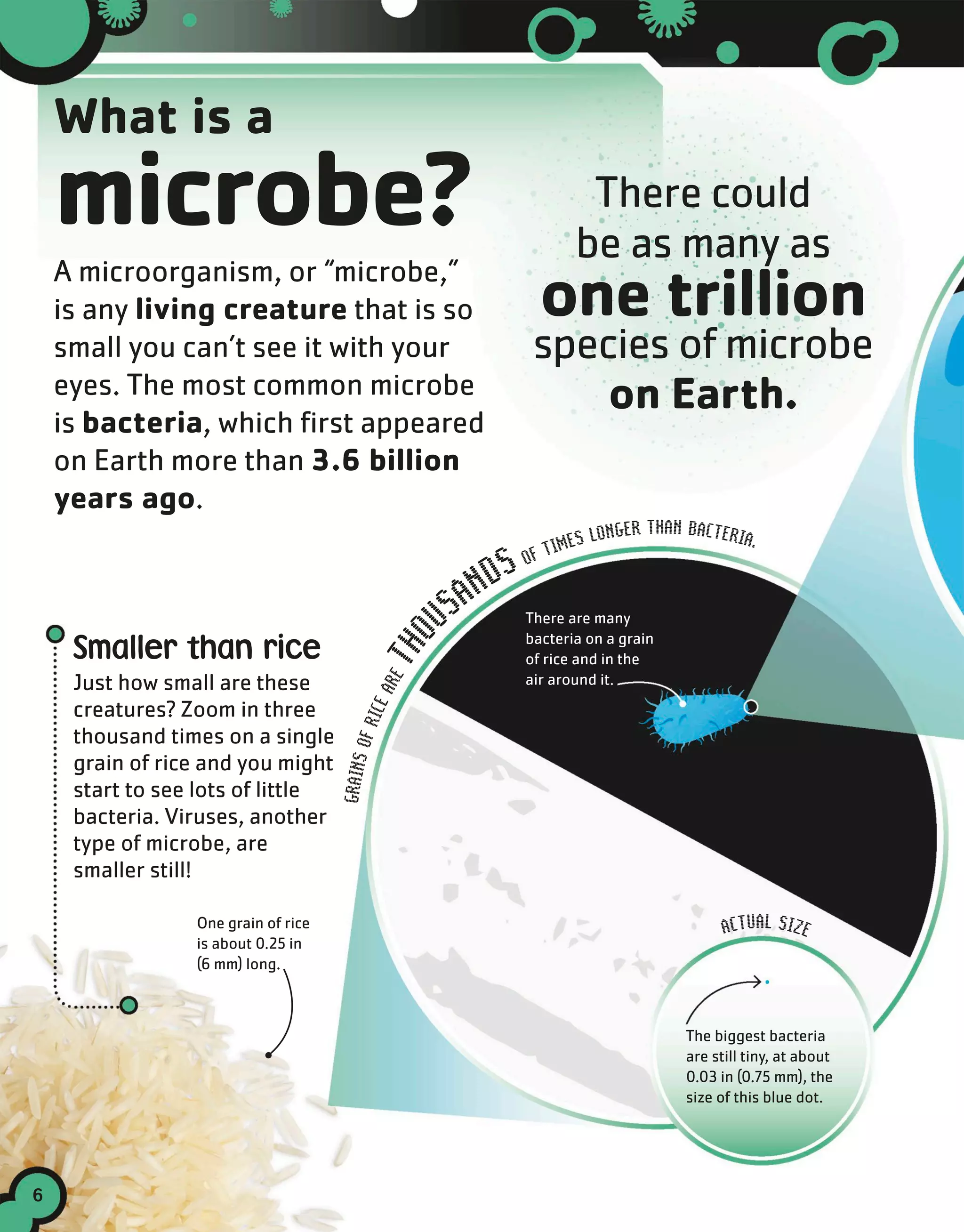 The Bacteria Book The Big World of Really Tiny Microbes.pdf
