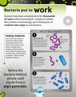 The Bacteria Book The Big World of Really Tiny Microbes.pdf