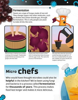 The Bacteria Book The Big World of Really Tiny Microbes.pdf