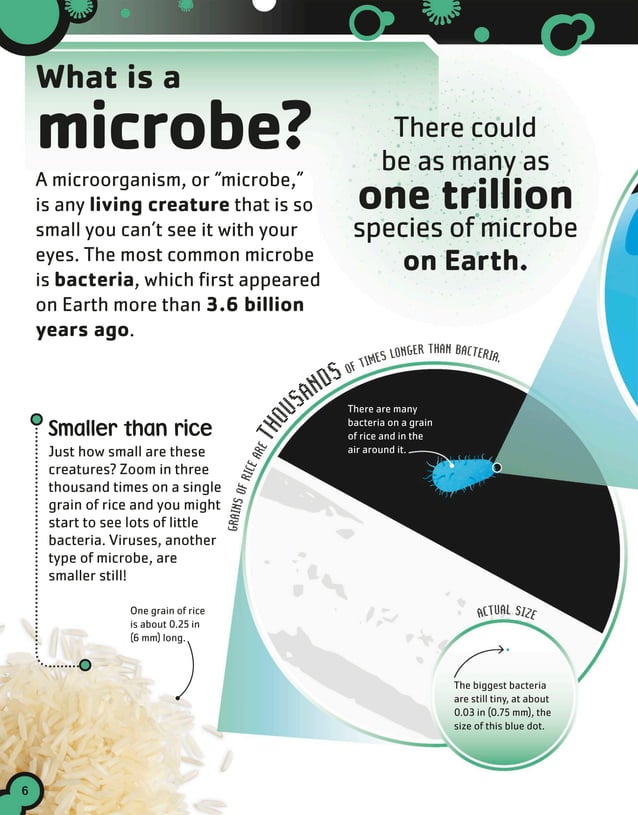 The Bacteria Book The Big World of Really Tiny Microbes.pdf