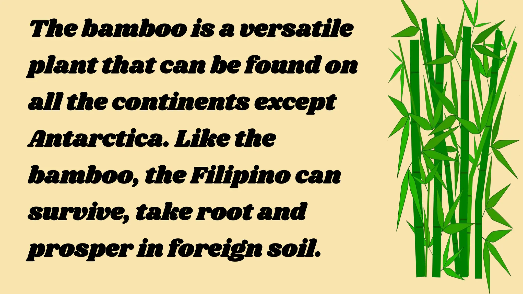 the bamboo and the filipino by Michell Ann | PPTX