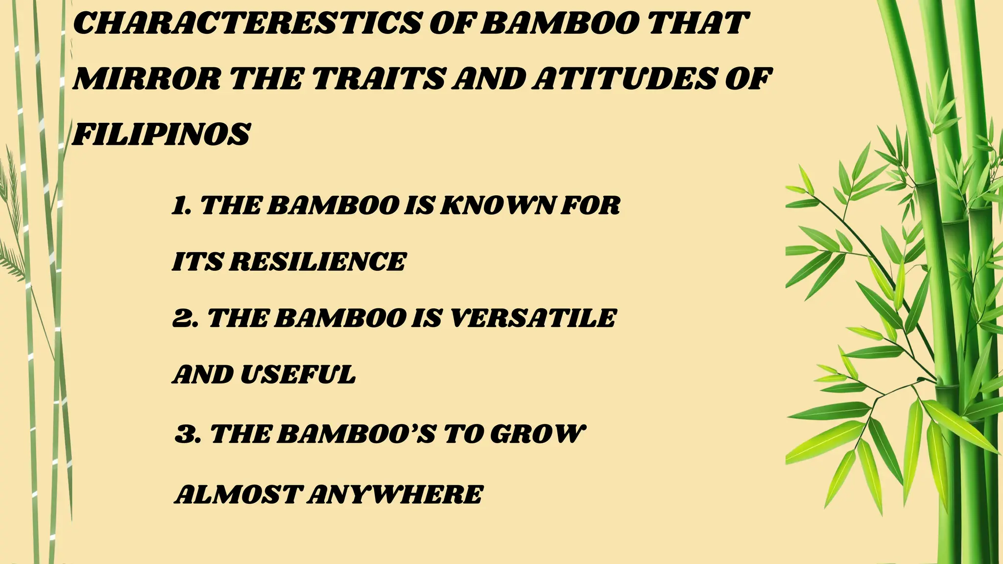 the bamboo and the filipino by Michell Ann | PPTX