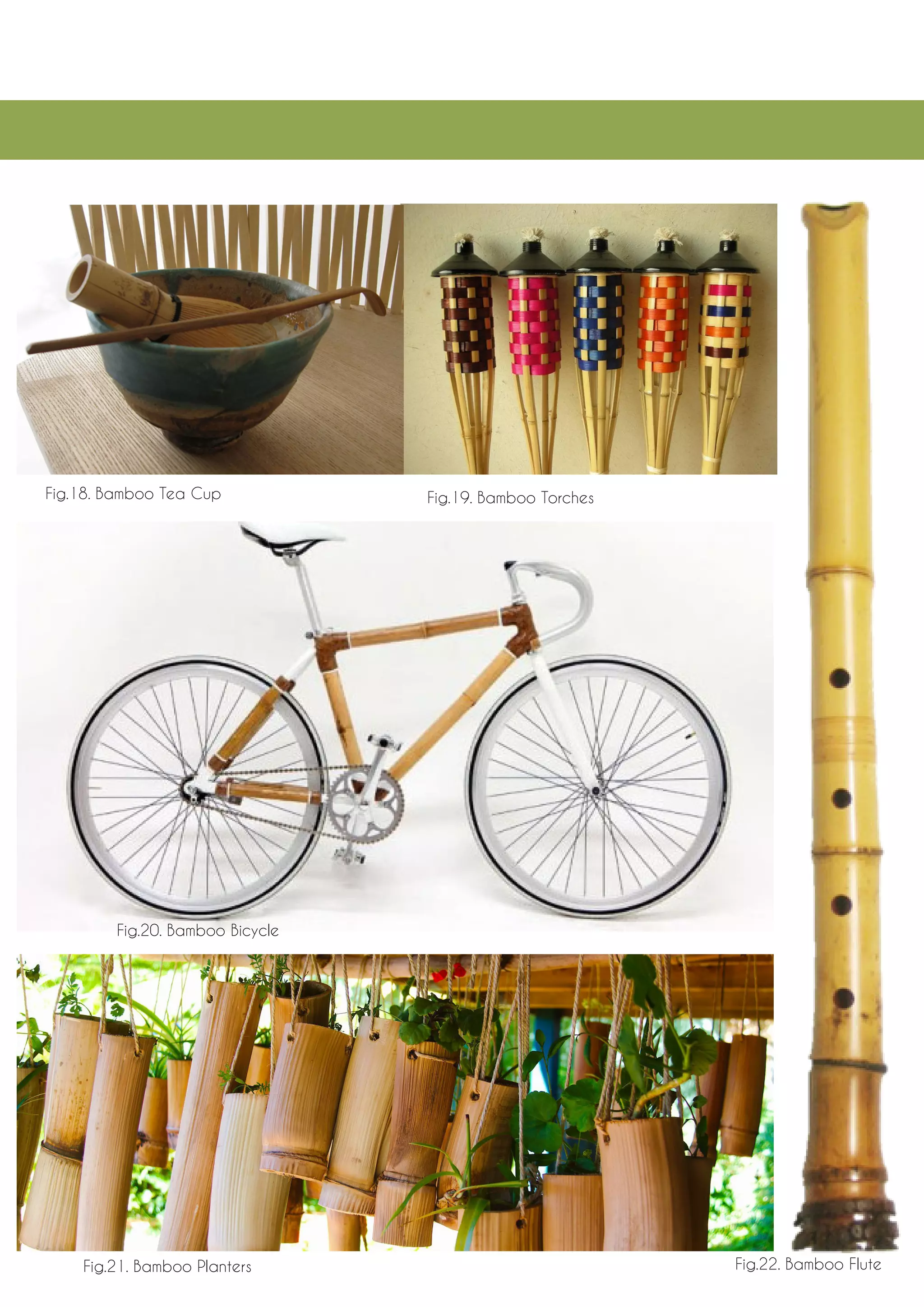 The bamboo book final 12 5-13 | PDF