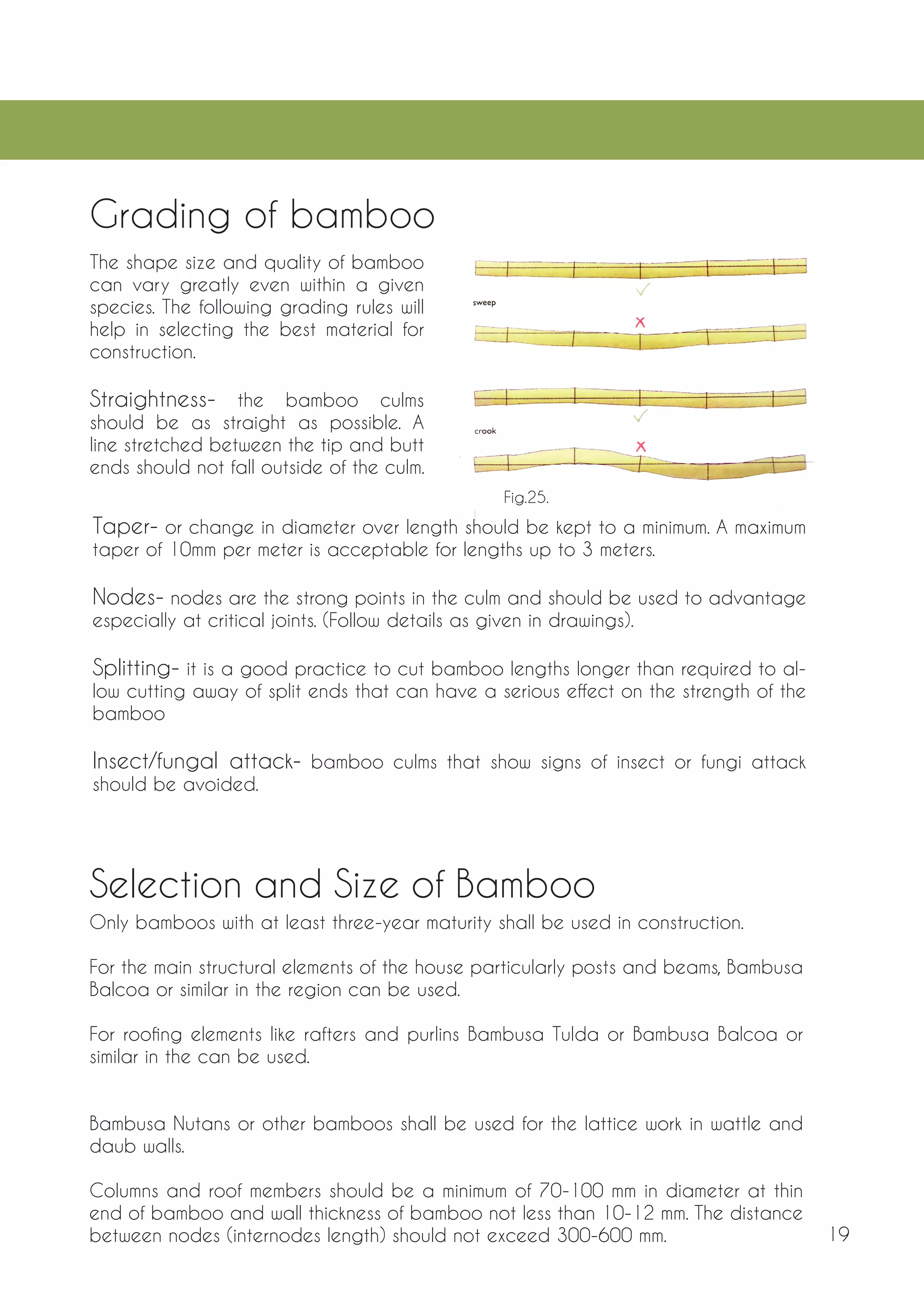 The bamboo book final 12 5-13 | PDF
