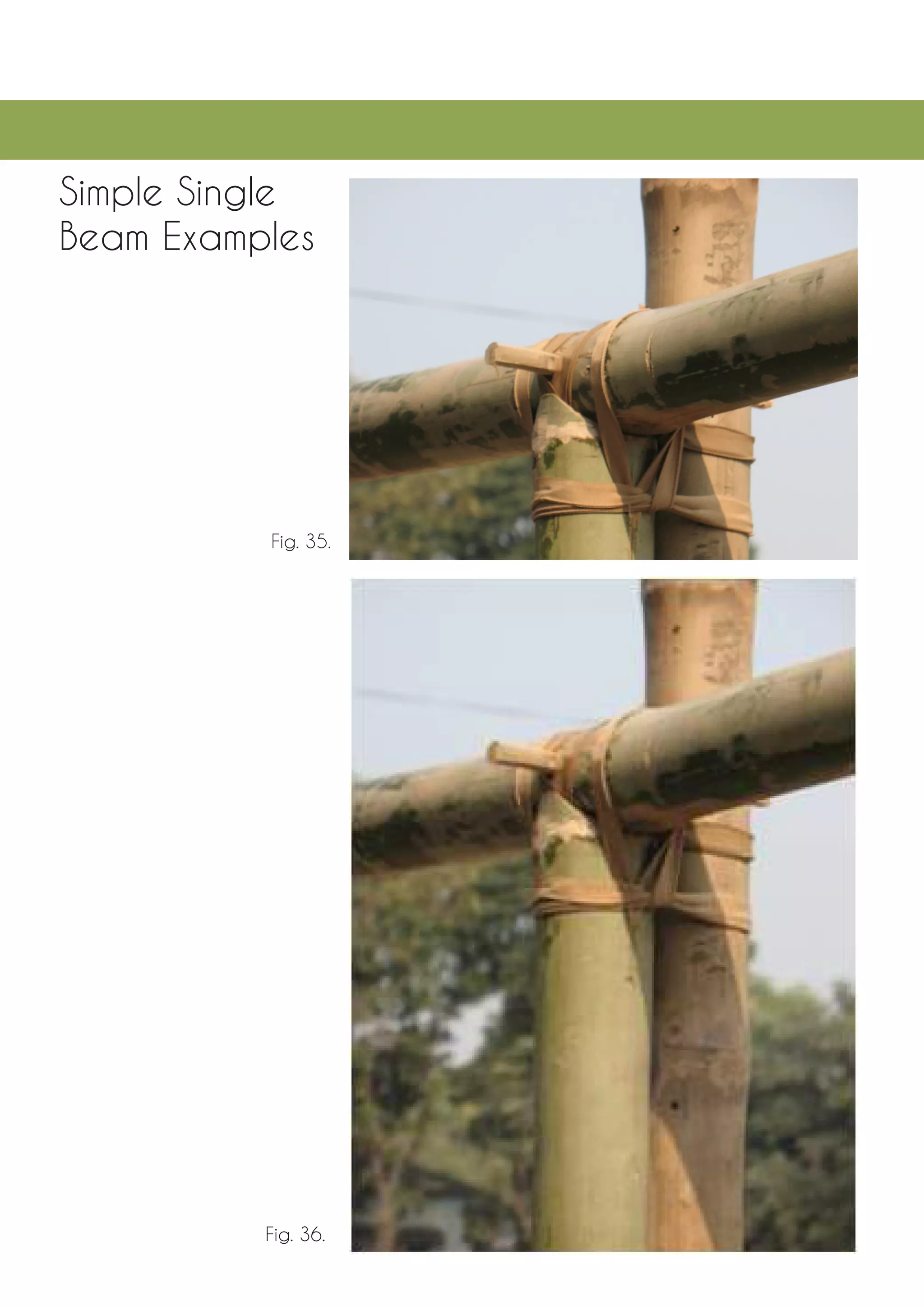 The bamboo book final 12 5-13 | PDF