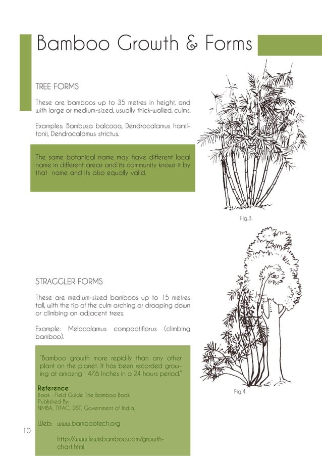 The bamboo book final 12 5-13 | PDF | Woodworking | Arts and Crafts