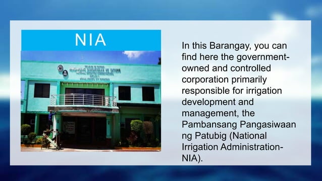 The Barangay Bayaoas | PPTX