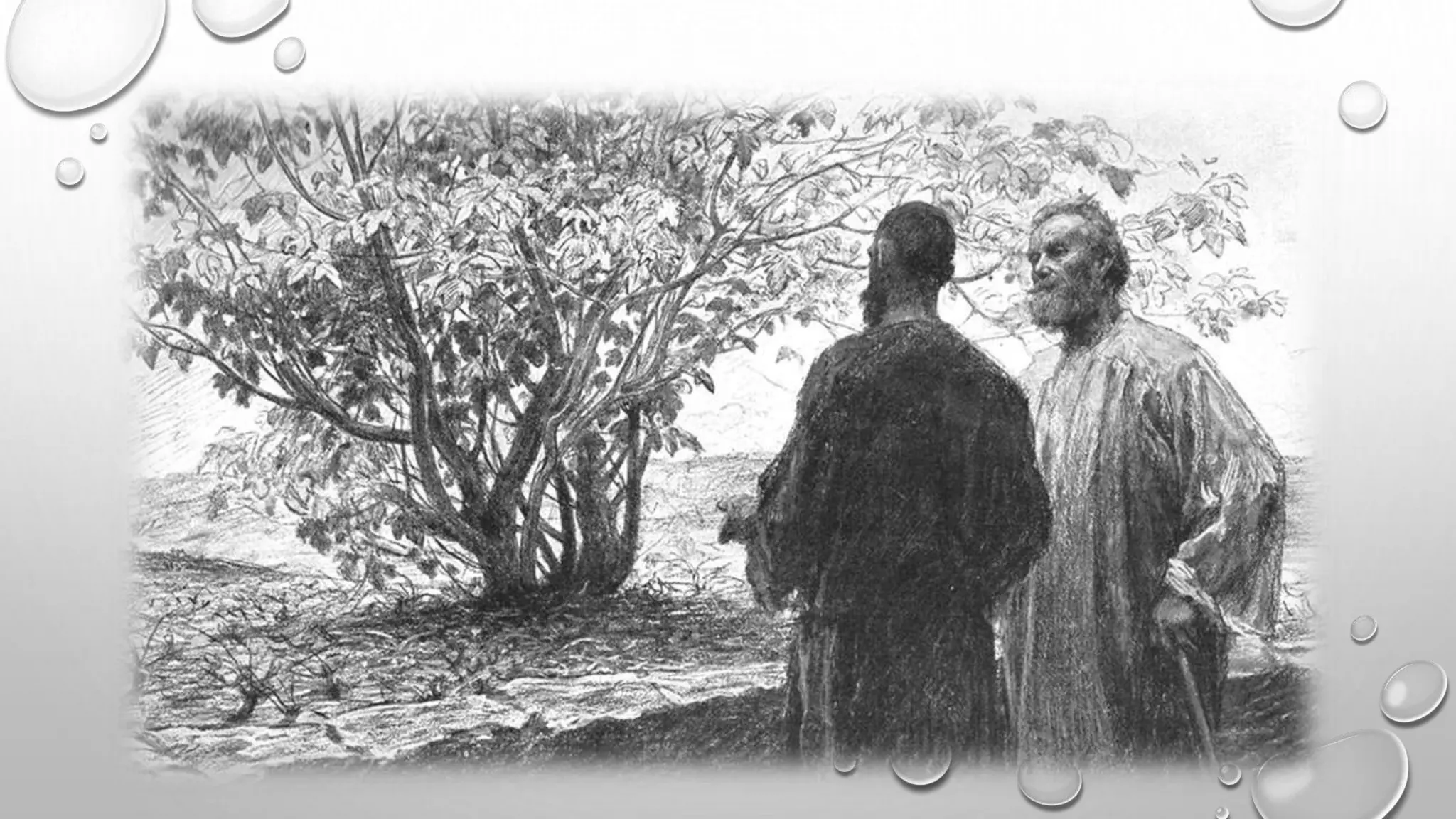 The barren fig tree | PPTX