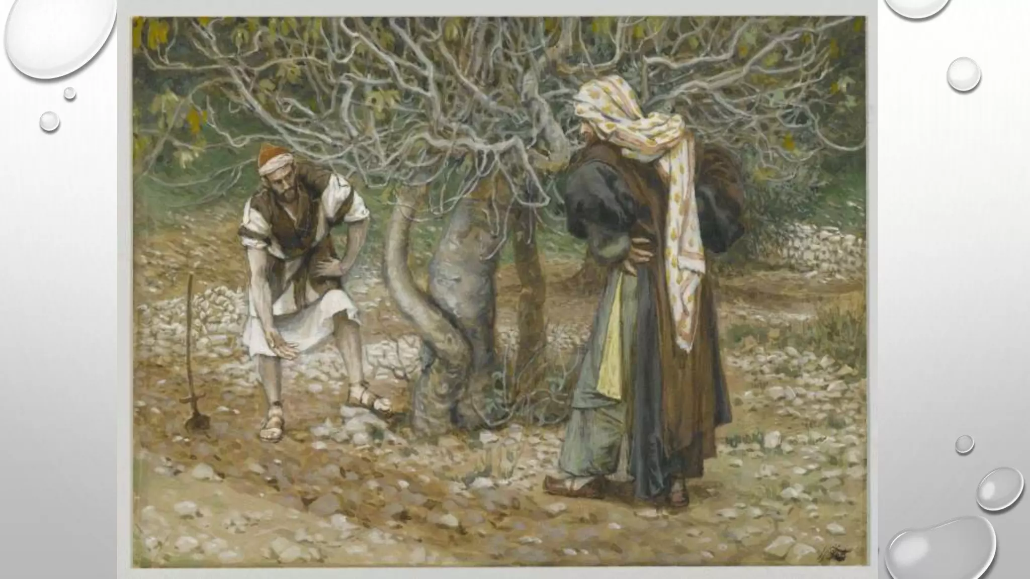 The barren fig tree | PPTX