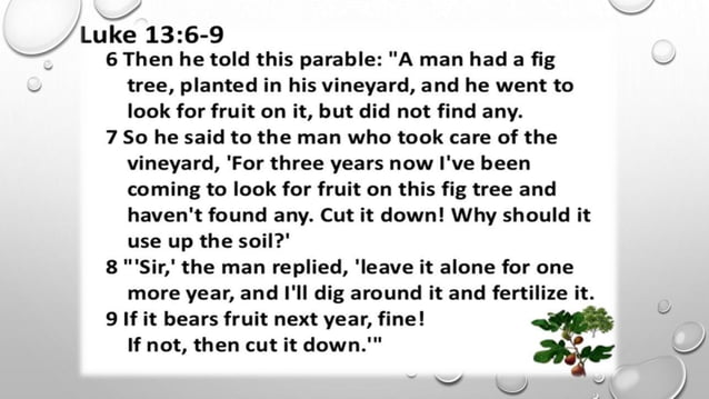 The barren fig tree | PPT