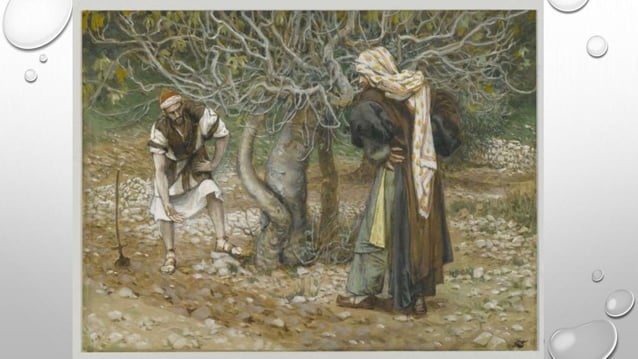 The barren fig tree | PPT