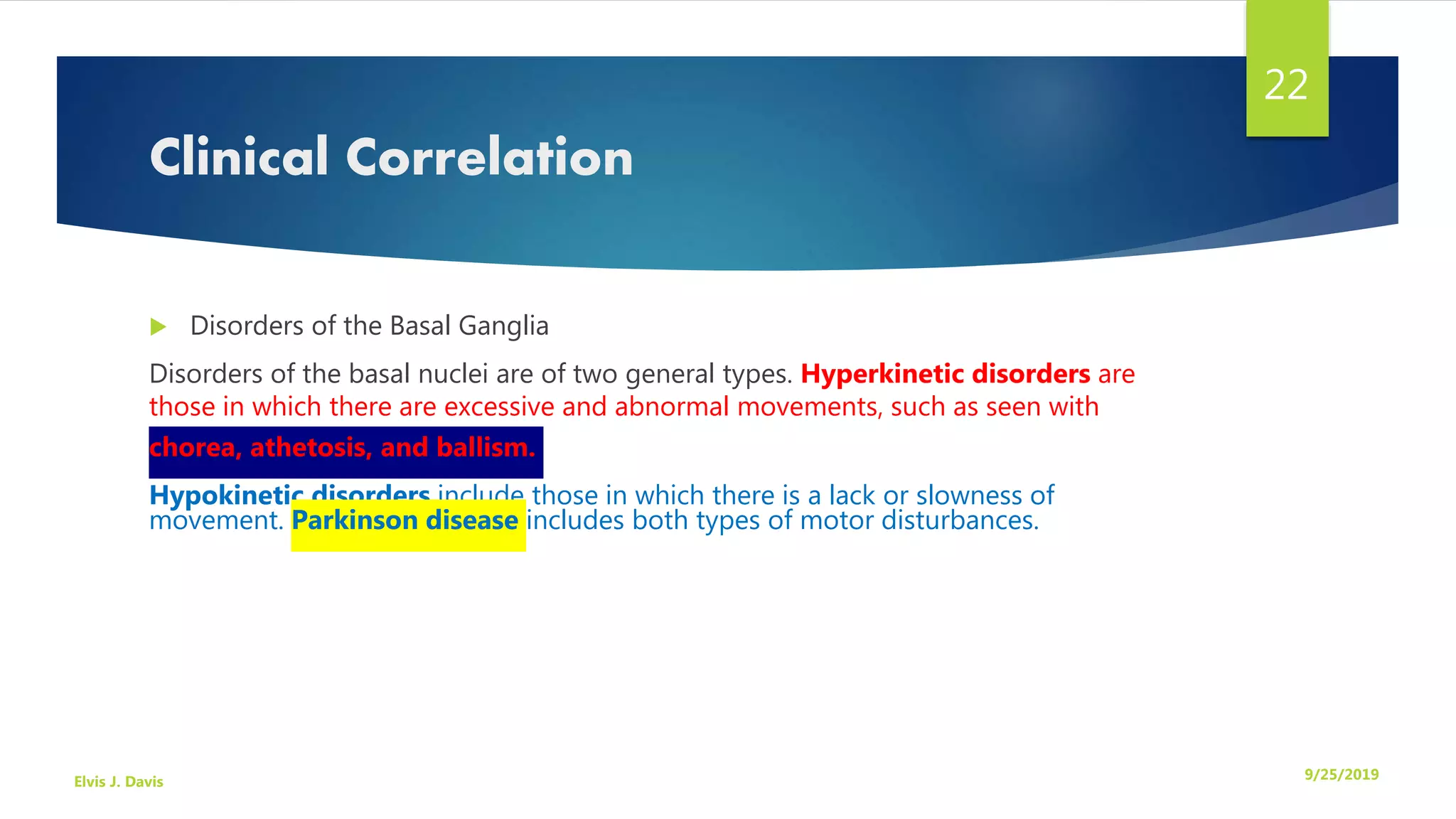 The basal nuclei | PPTX