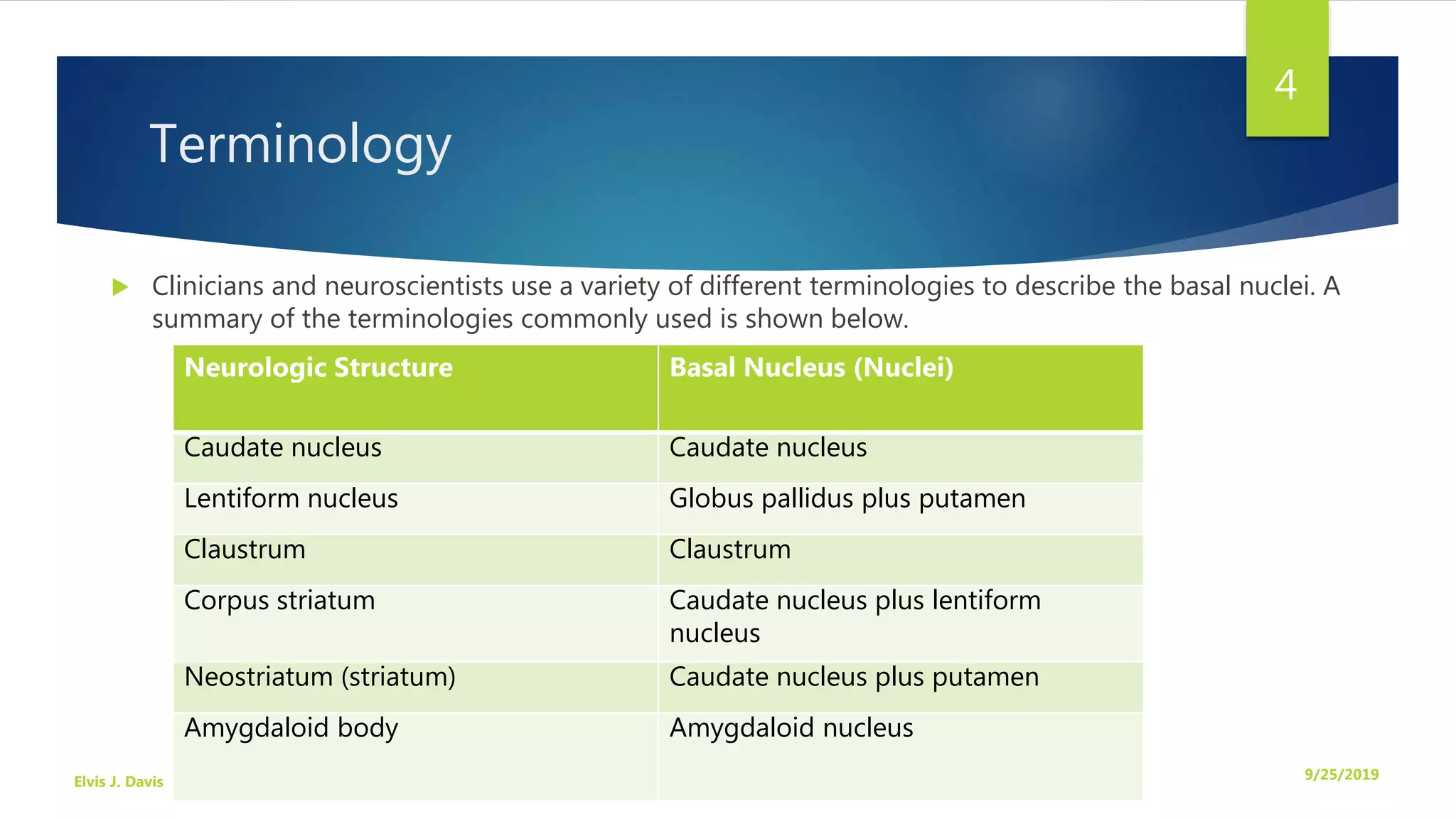The basal nuclei | PPTX