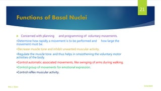 The basal nuclei | PPTX