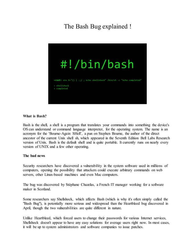 The Bash Bug explained ! | PDF
