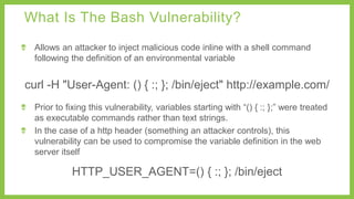 The bash vulnerability practical tips to secure your environment | PPTX
