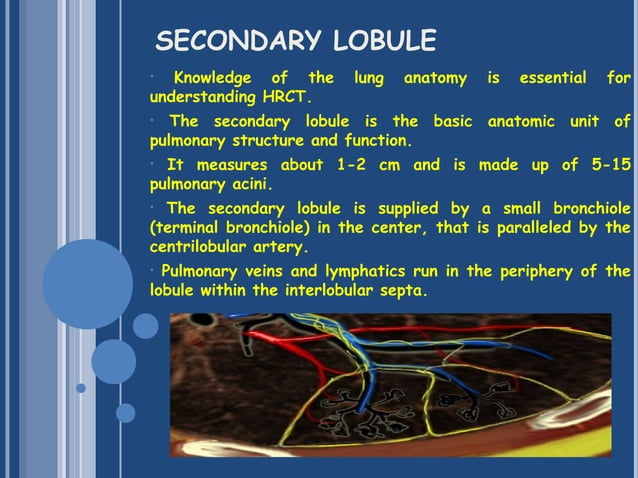 The basic interpretation of hrct | PPT | Lung and Respiratory Health ...