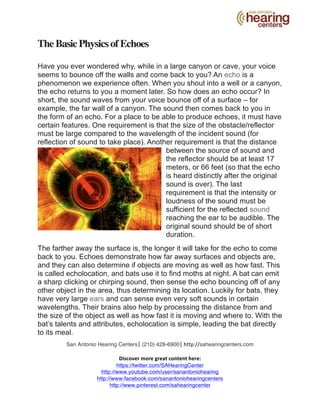 The Basic Physics of Echoes | PDF