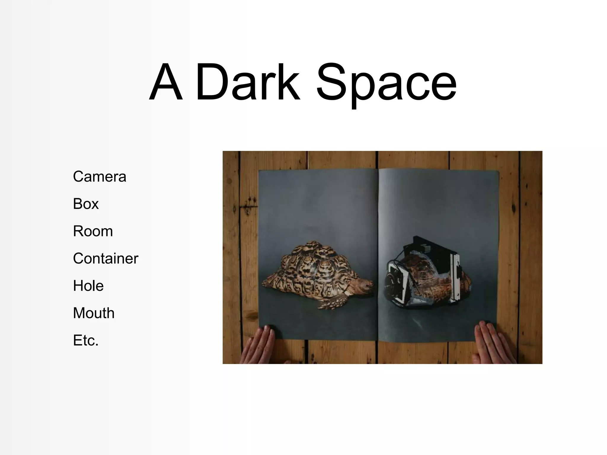 The Basics of Alternative Photographic Processes | PPTX | Photography ...