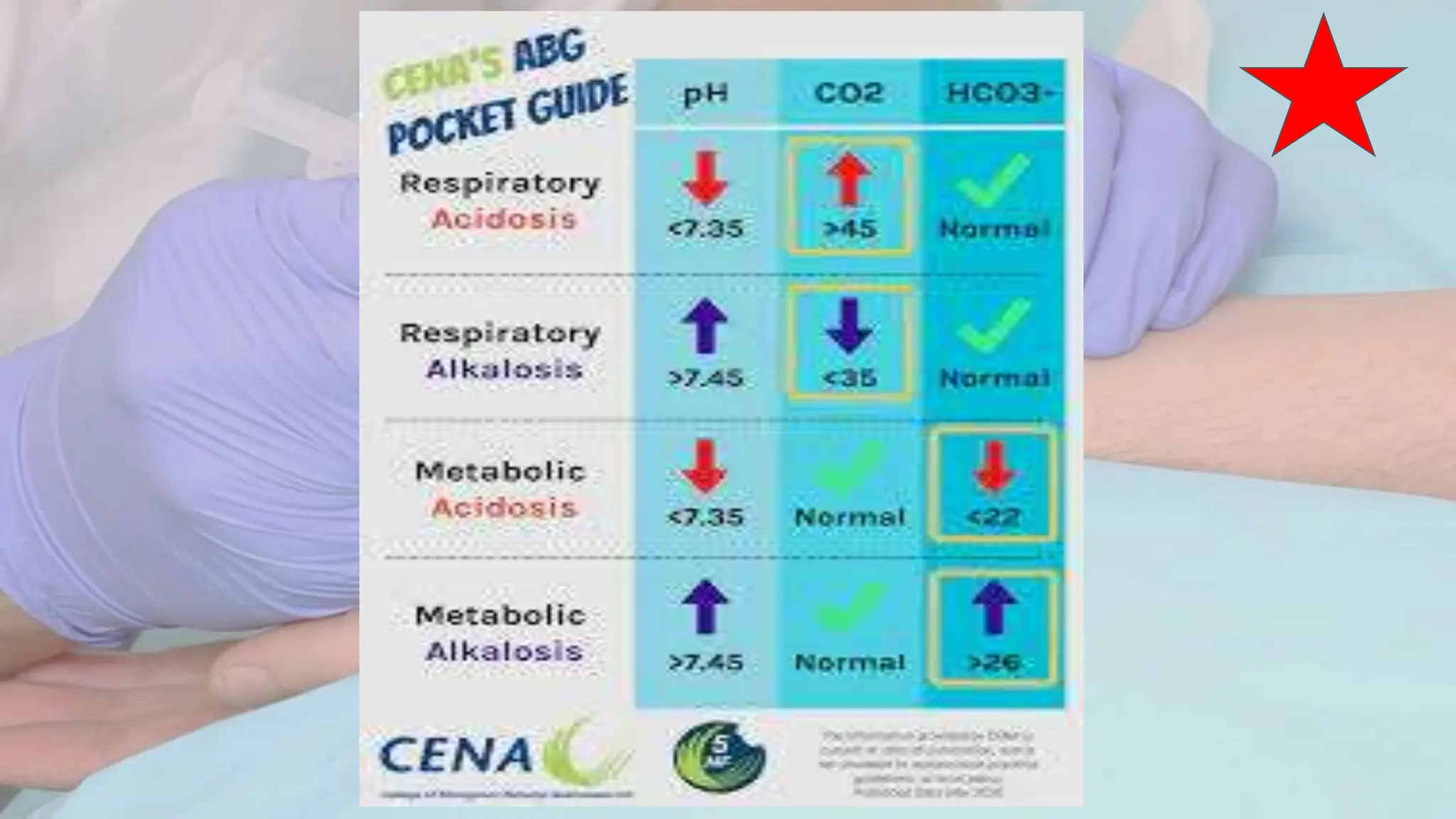 The Basics of ABG for nursing students.pptx