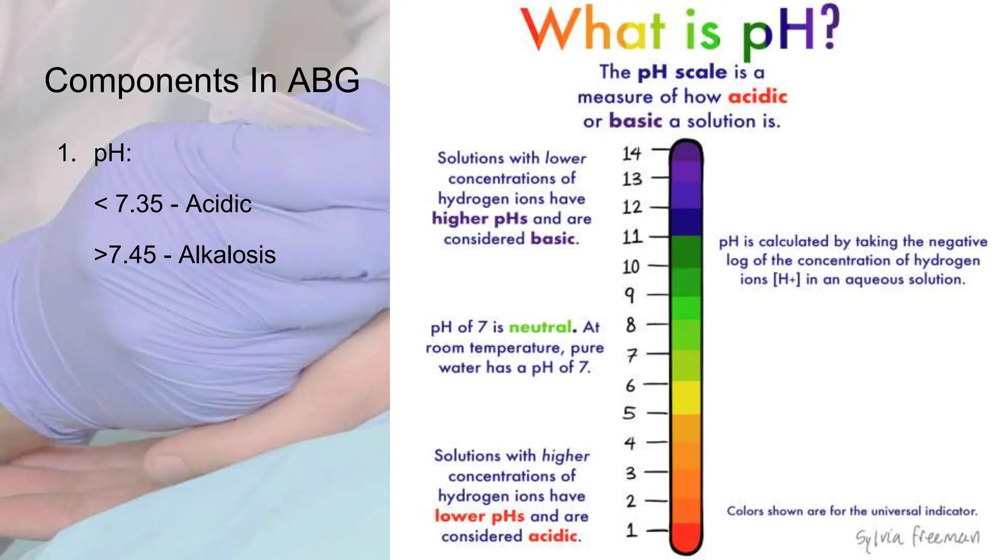 The Basics of ABG for nursing students.pptx