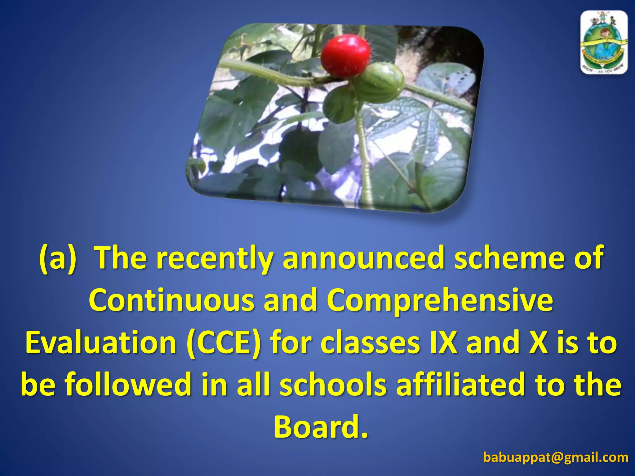 The basics of cbse cce and grading system | PPT