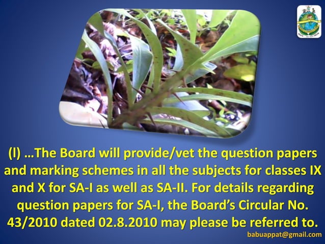 The basics of cbse cce and grading system | PPT