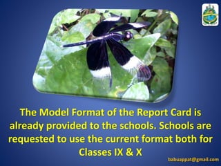 The basics of cbse cce and grading system | PPT