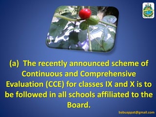 The basics of cbse cce and grading system | PPTX