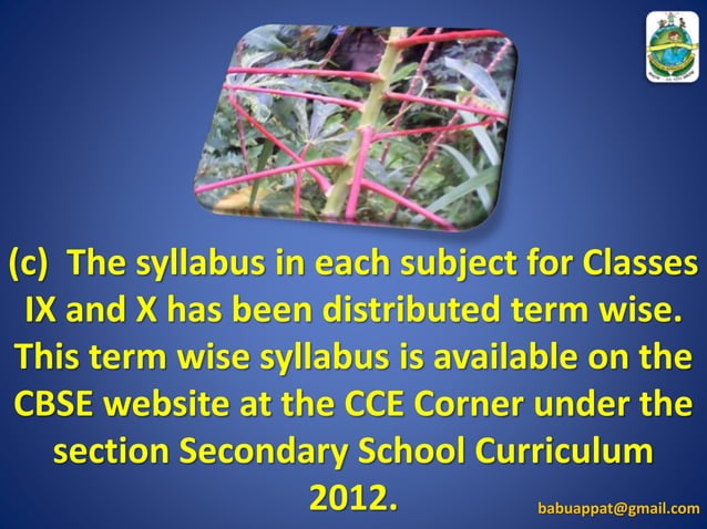 The basics of cbse cce and grading system | PPT