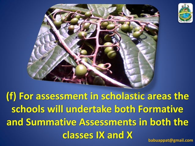 The basics of cbse cce and grading system | PPT