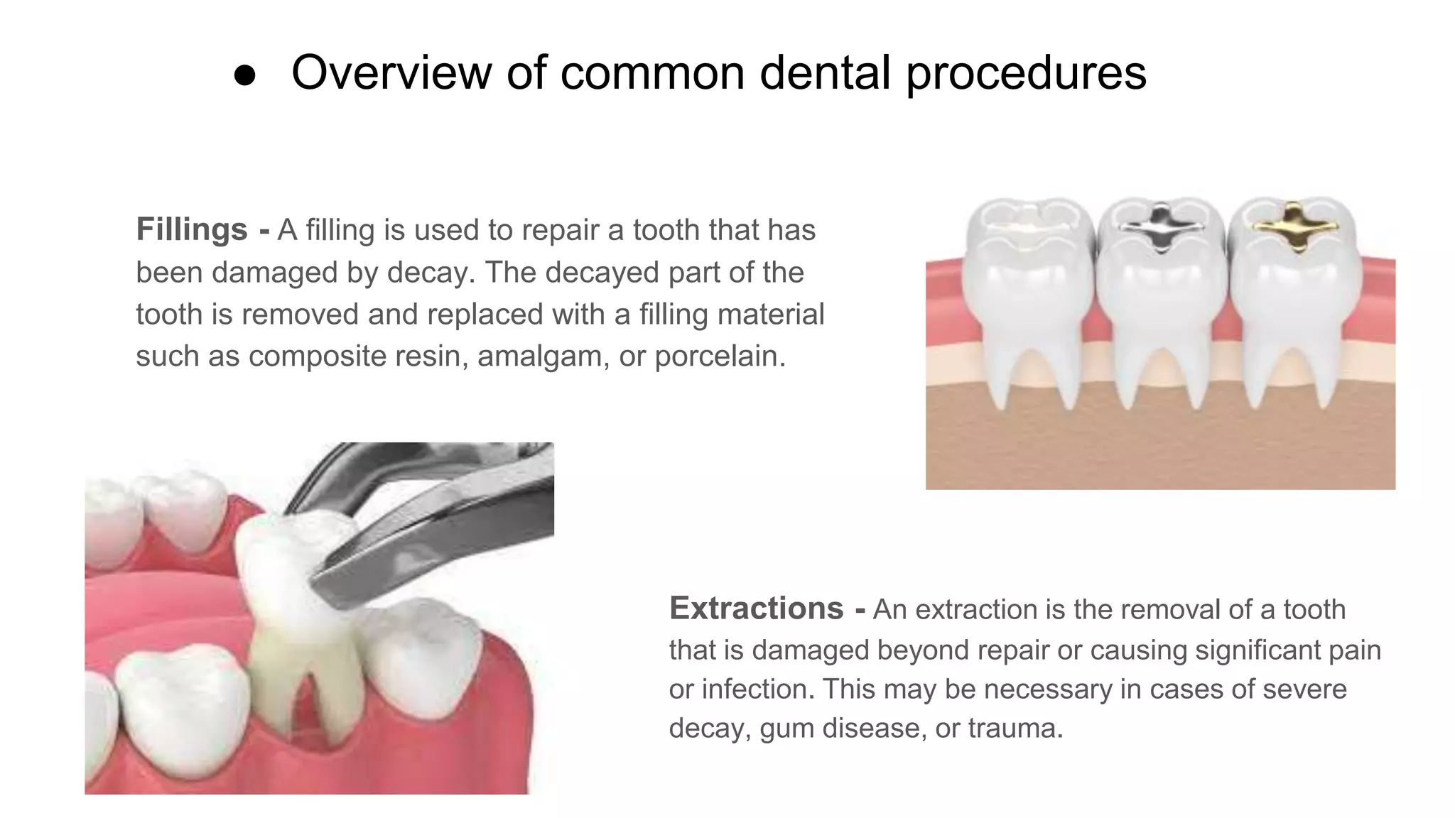 The Basics of Dentistry | PPTX