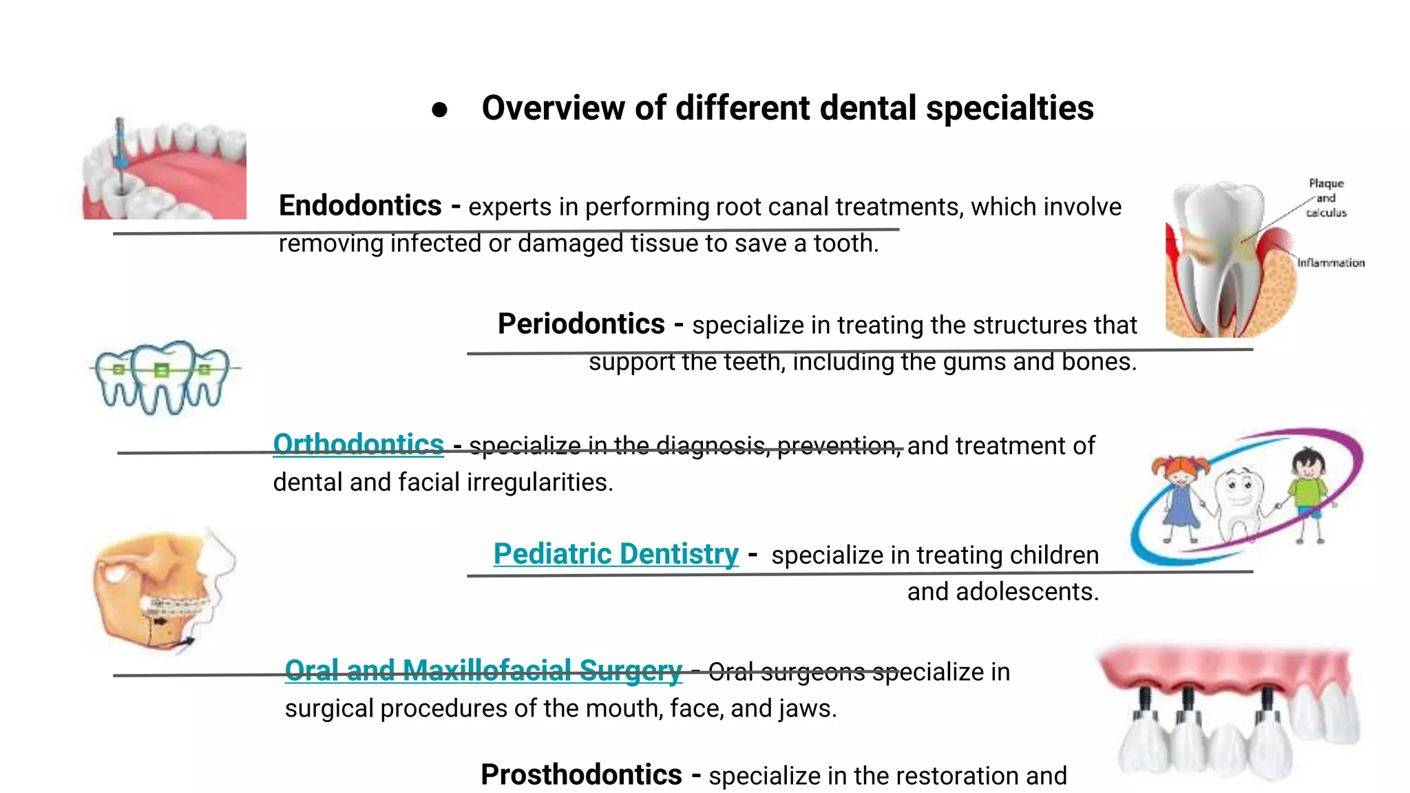 The Basics of Dentistry | PPTX