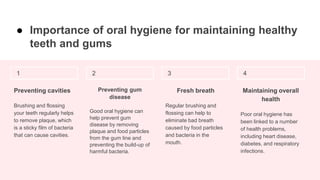 The Basics of Dentistry | PPTX