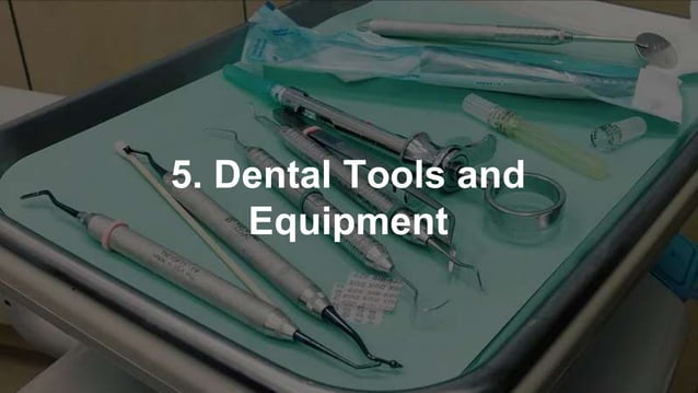 The Basics of Dentistry | PPTX