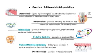 The Basics of Dentistry | PPTX