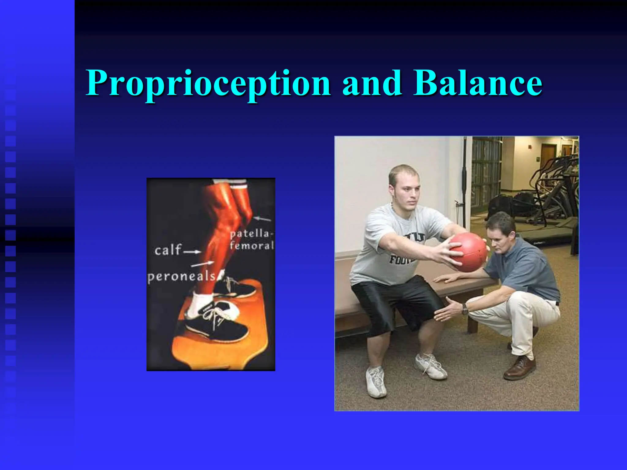 The Basics of Rehabilitation.ppt sports Injury | PPT