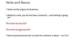 The basics of sentence 1 session 1pptx 3.pptx
