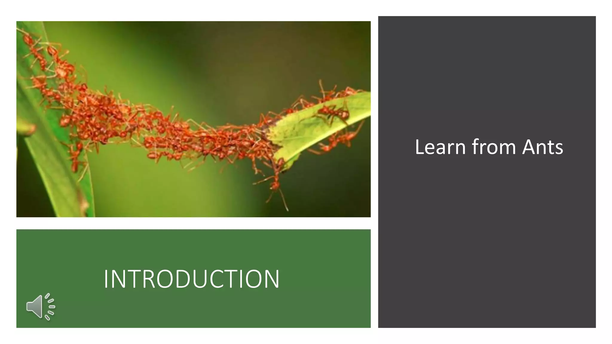 The basics of teamwork and collaboration wbt | PPTX