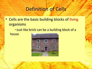 The basic structure and function of cells | PPT