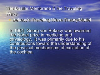 HIS 120 The Basilar Membrane and the Traveling Wave | PPT