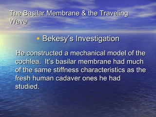 HIS 120 The Basilar Membrane and the Traveling Wave | PPT