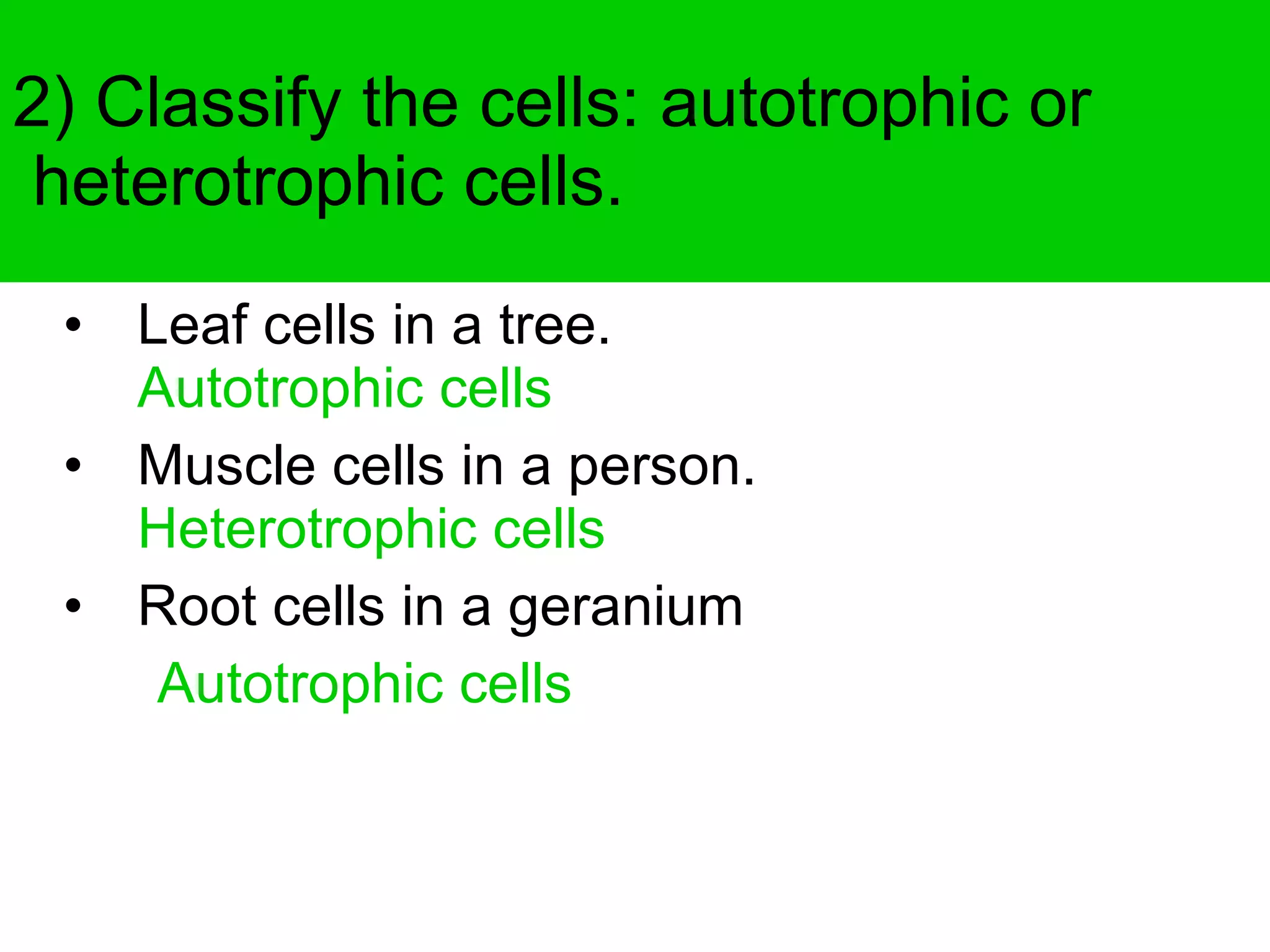 The basis of life | PPT