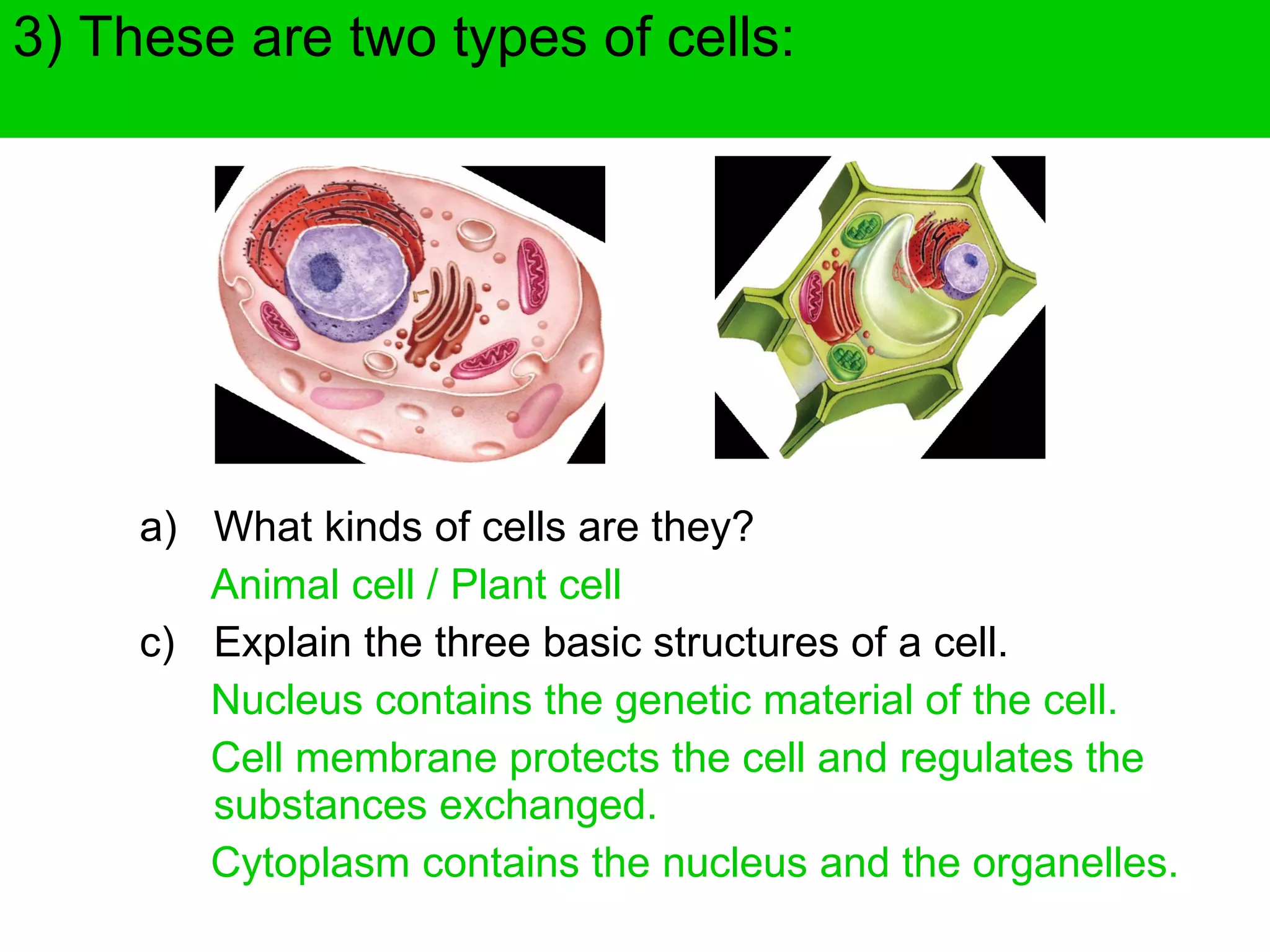 The basis of life | PPT