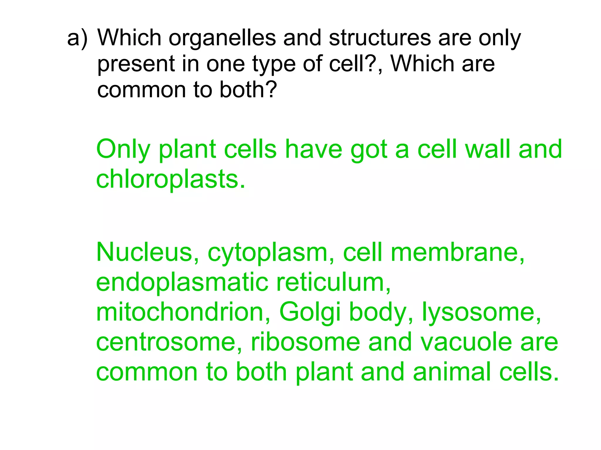 The basis of life | PPT
