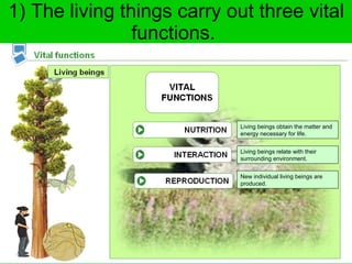 The basis of life | PPT